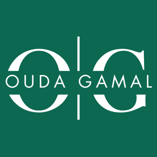 Work In Progress - Ouda Gamal